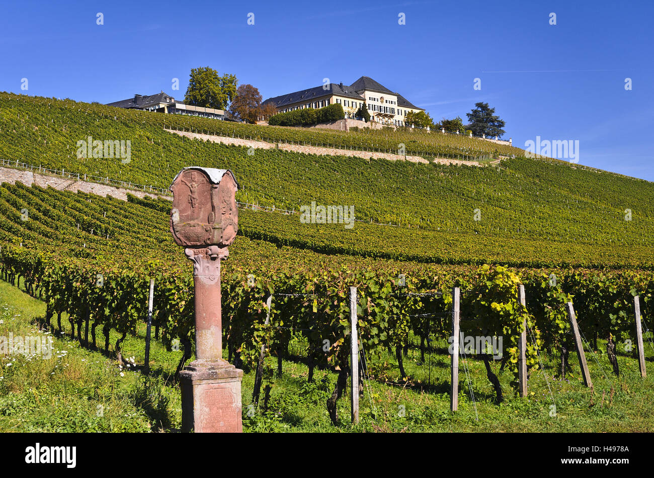 Deutschland, Hessen, Rheingau (Region), Geisenheim (Dorf), district ...