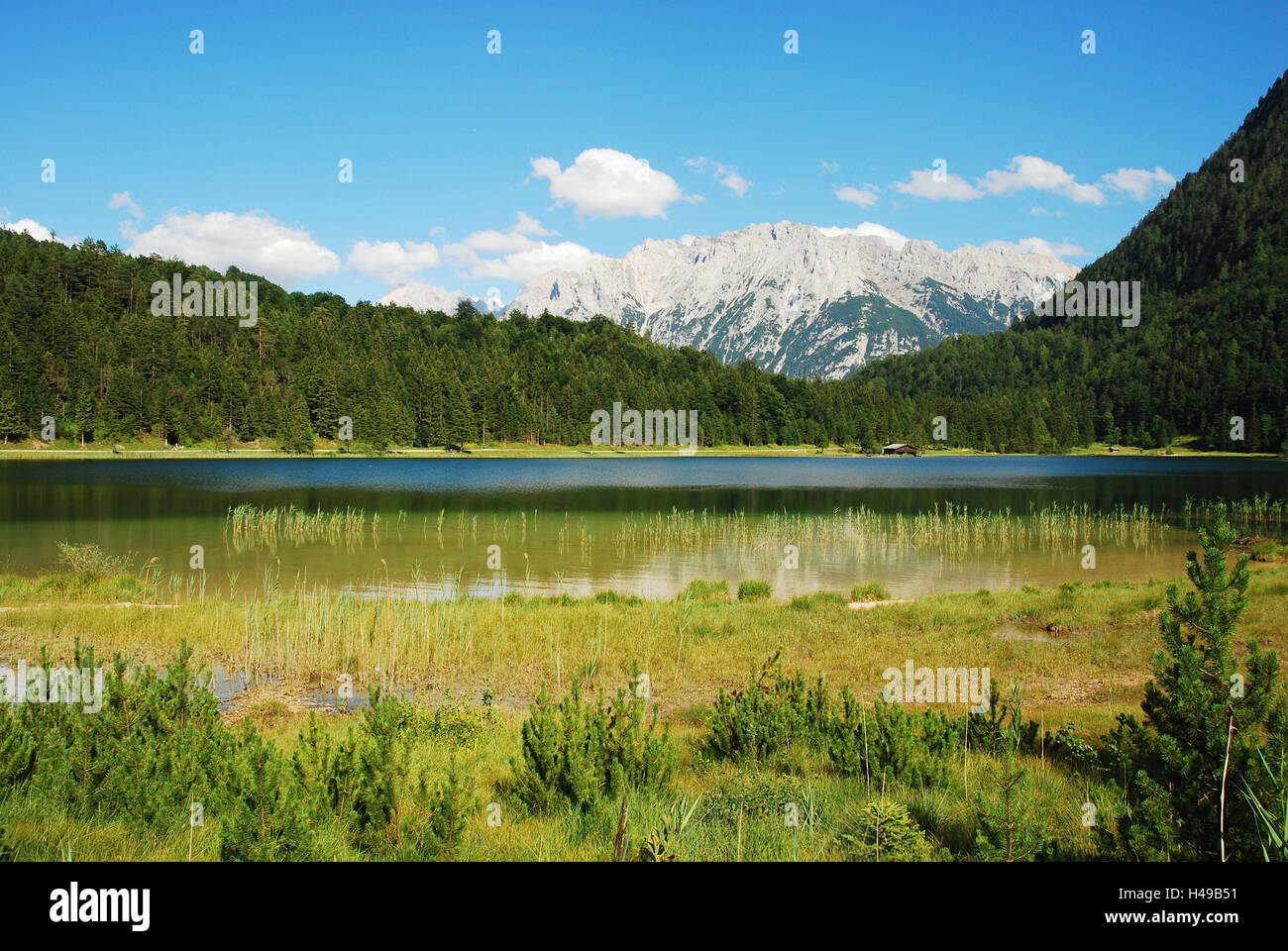 Deutschland, Oberbayern, Mittenwald, Ferchensee, anzeigen, Karwendel ...