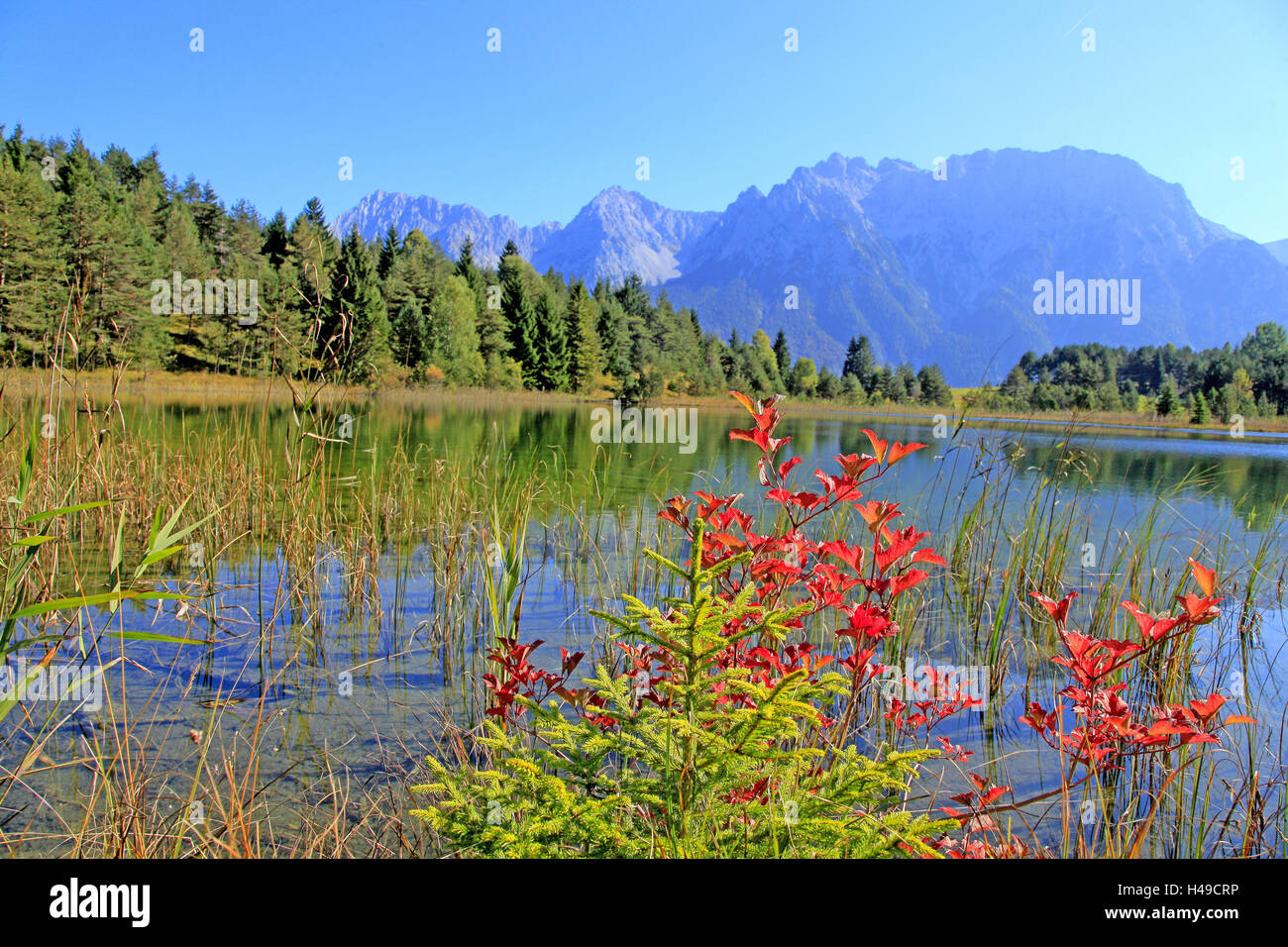 Region mittenwald -Fotos und -Bildmaterial in hoher Auflösung – Alamy