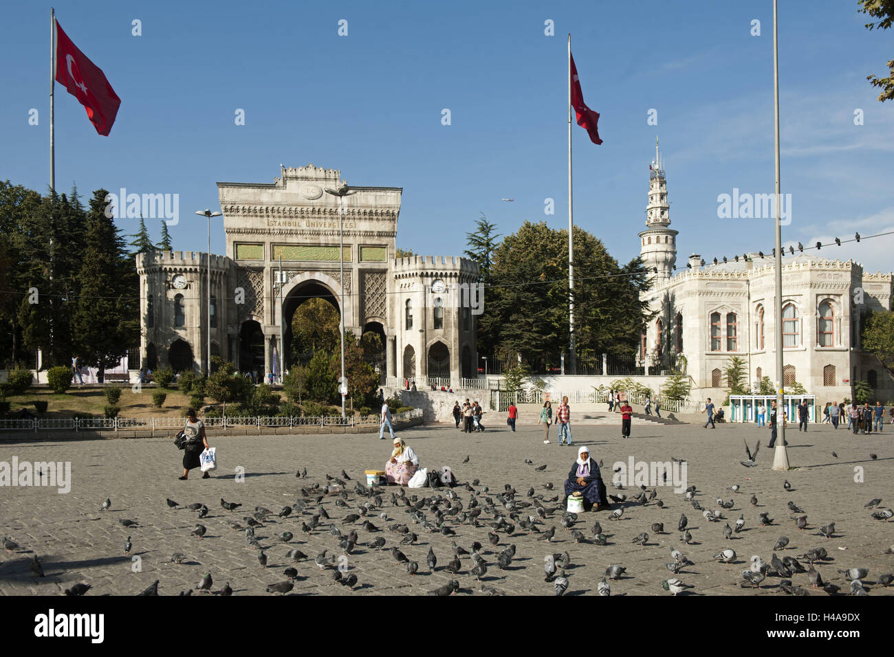 Tauben freilassen -Fotos und -Bildmaterial in hoher Auflösung – Alamy