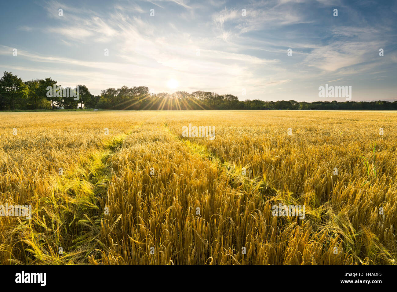 Land horizontales feld -Fotos und -Bildmaterial in hoher Auflösung – Alamy