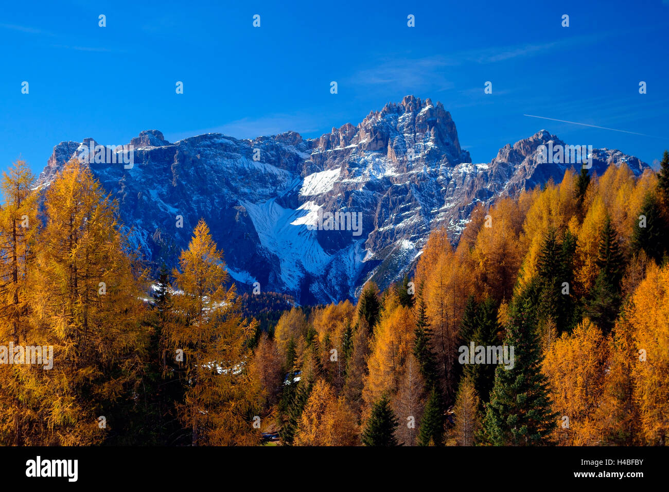 Alpe nemes -Fotos und -Bildmaterial in hoher Auflösung – Alamy