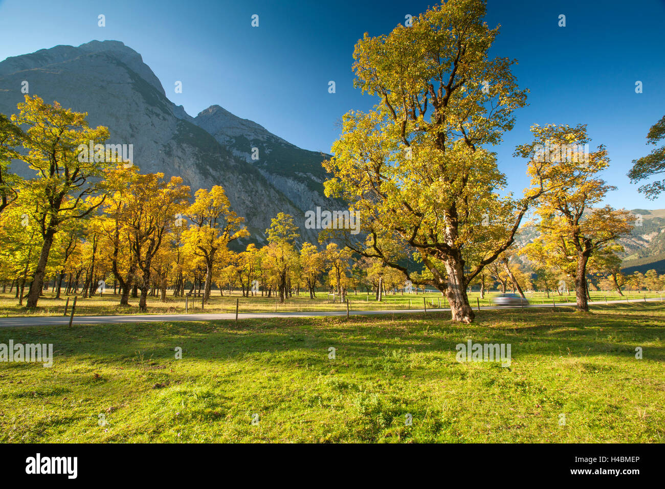 Große Ahornböden, Engtal, Eng, Tirol, Österreich, Alpenpark Karwendel ...