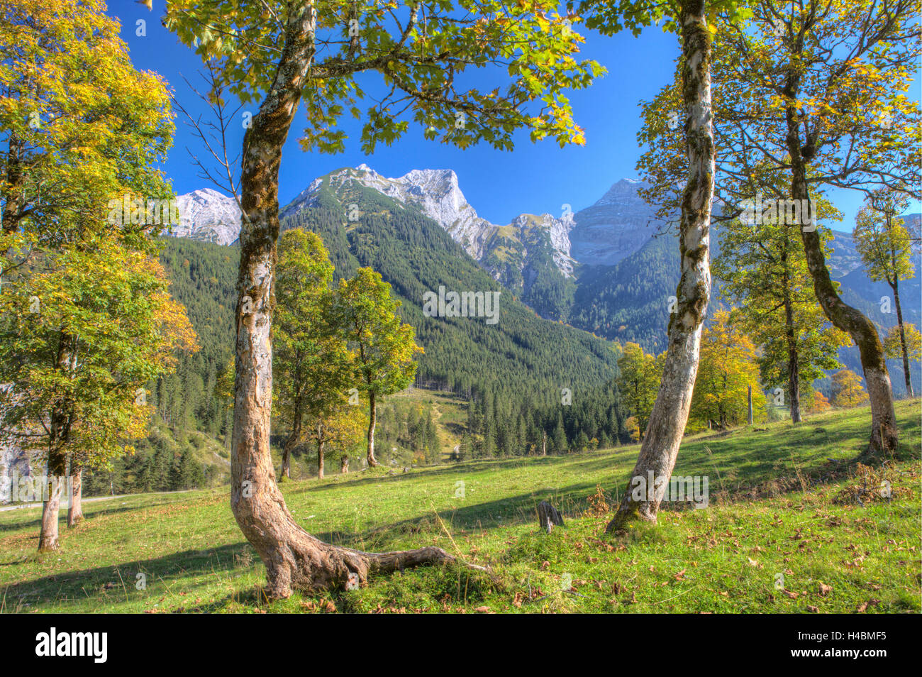 Albtraum park karwendel -Fotos und -Bildmaterial in hoher Auflösung – Alamy
