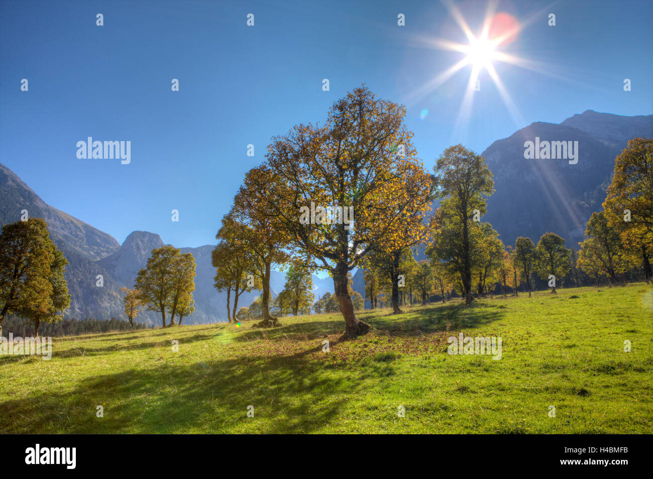 Große Ahornböden, Engtal, Eng, Tirol, Österreich, Alpenpark Karwendel ...