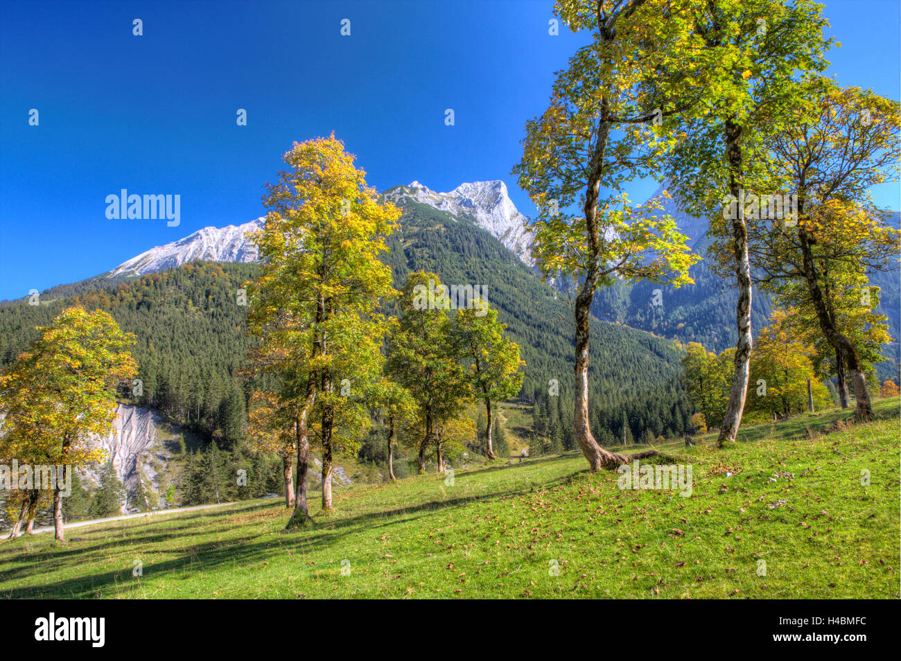 Große Ahornböden, Engtal, Eng, Tirol, Österreich, Alpenpark Karwendel ...