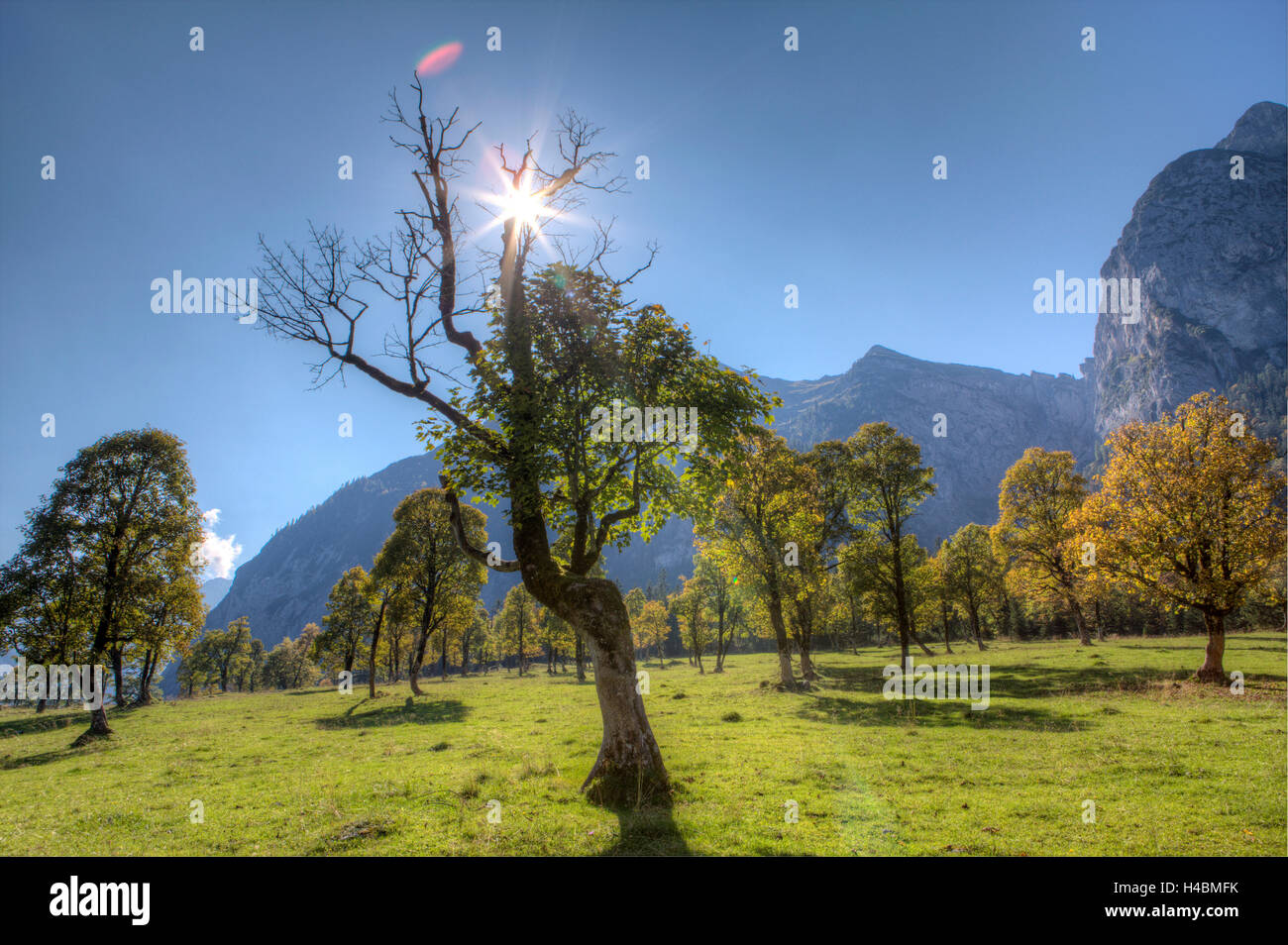 Große Ahornböden, Engtal, Eng, Tirol, Österreich, Alpenpark Karwendel ...