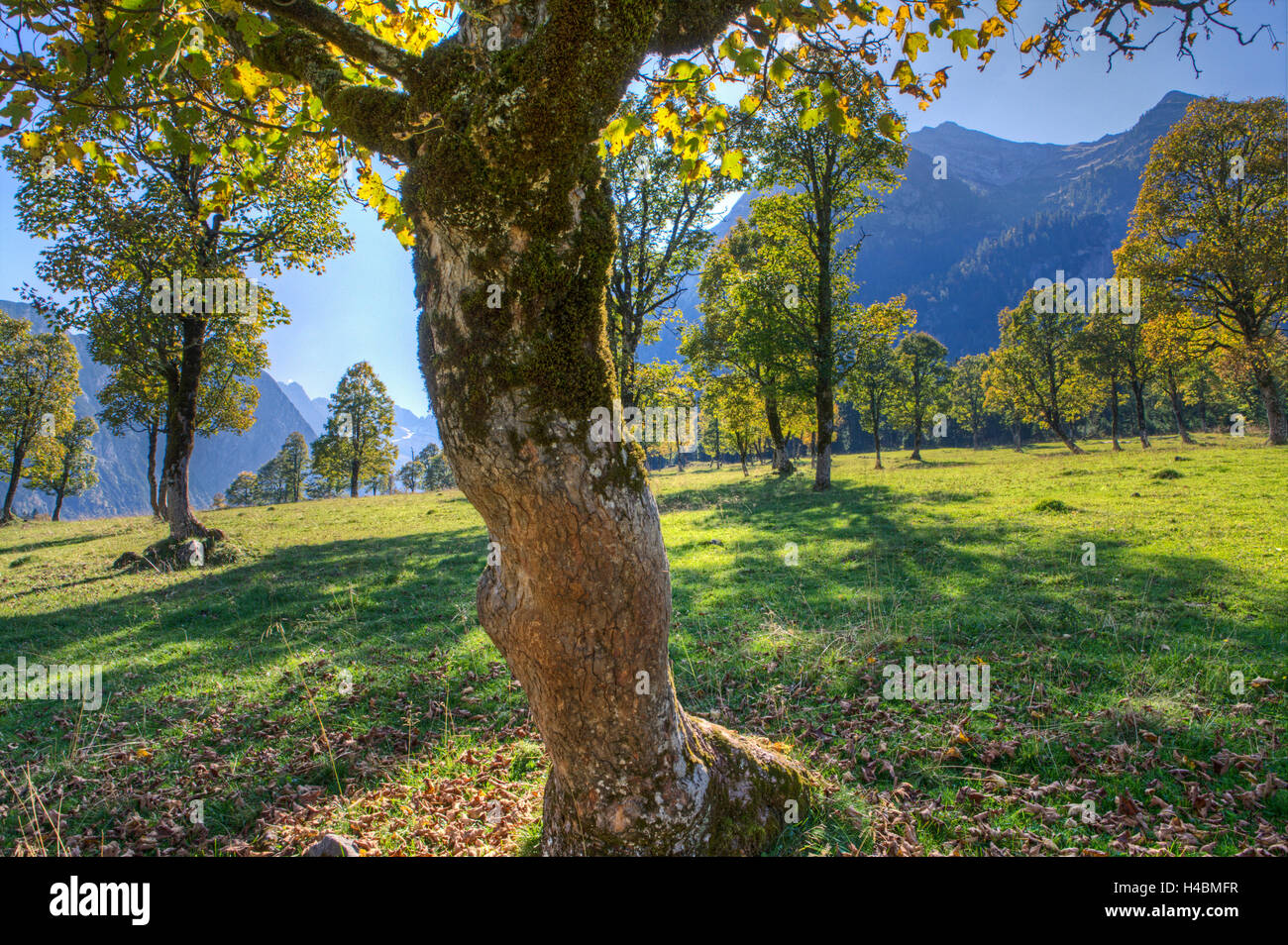 Große Ahornböden, Engtal, Eng, Tirol, Österreich, Alpenpark Karwendel ...
