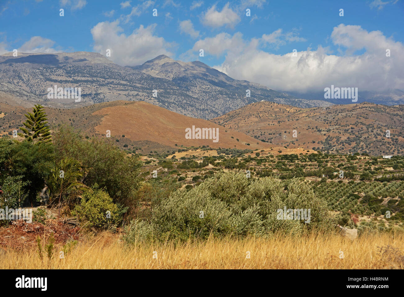 Ida insel -Fotos und -Bildmaterial in hoher Auflösung – Alamy