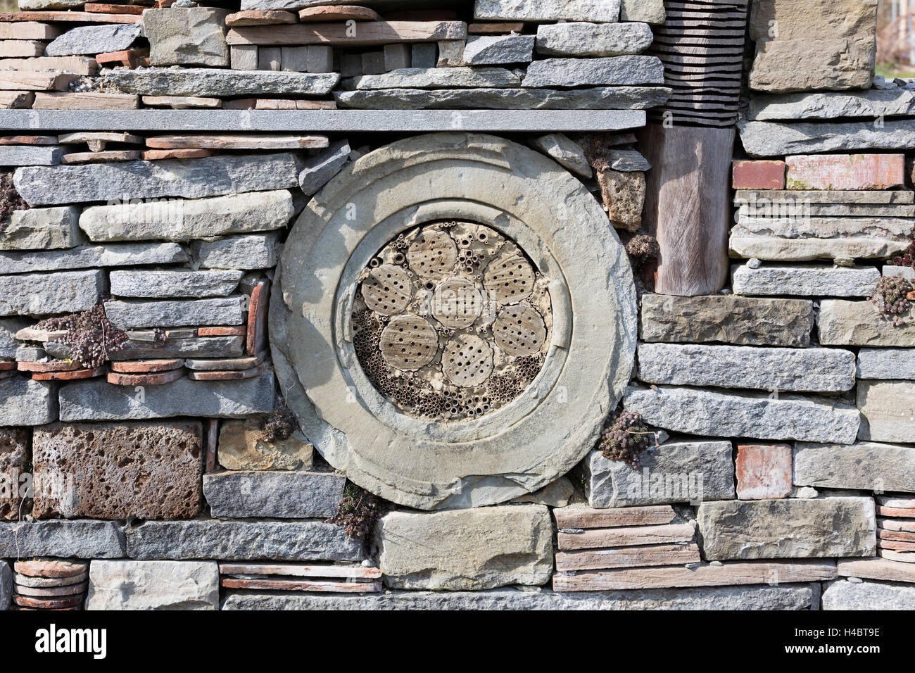 Verschiedene materialien -Fotos und -Bildmaterial in hoher Auflösung ...