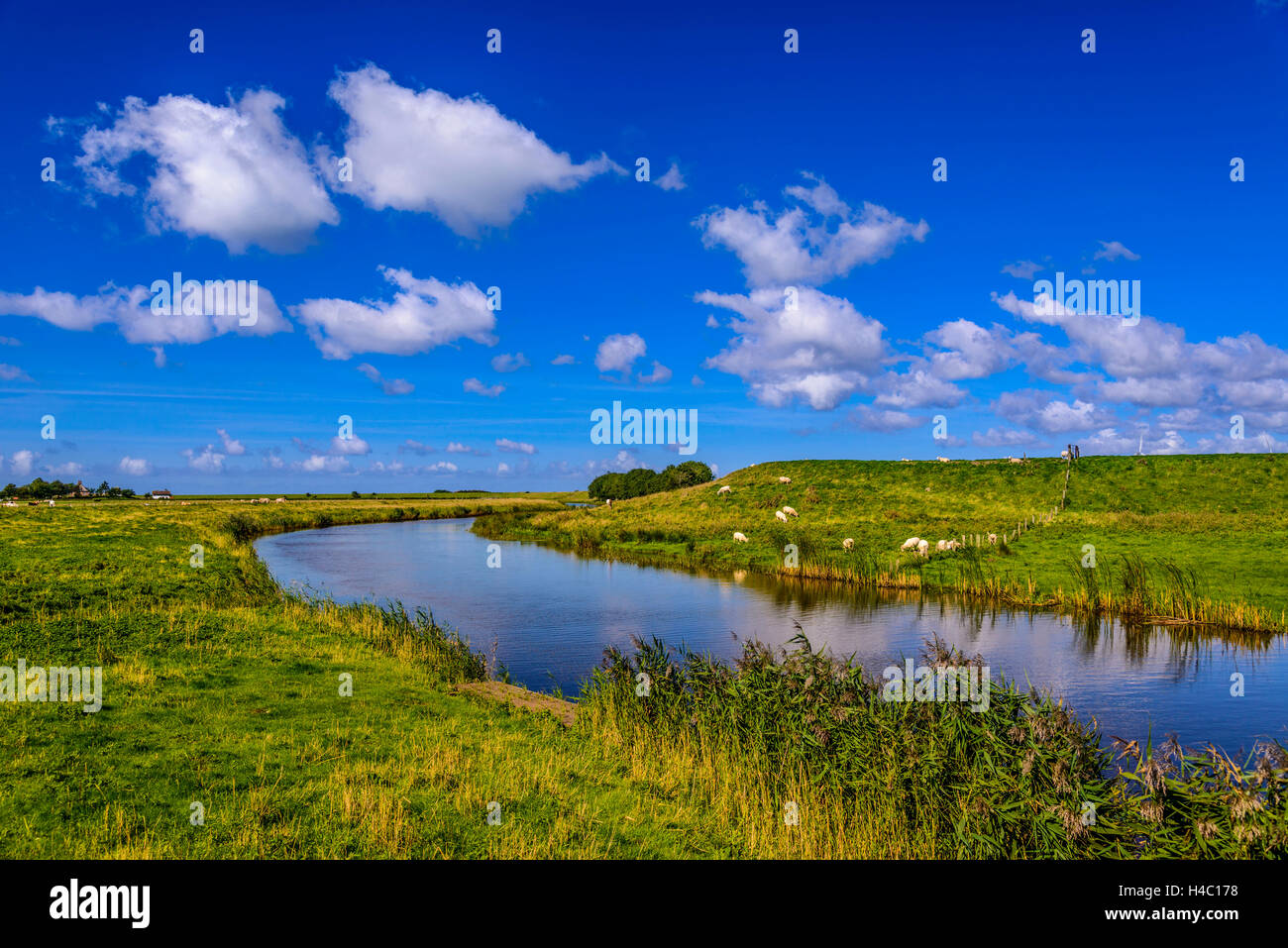 Deutschland, Schleswig-Holstein, Nordfriesland, nordfriesischen Marsh ...