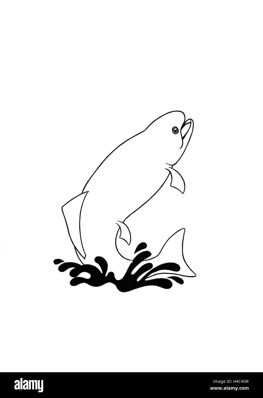 Springende forelle Schwarzweiß-Stockfotos und -bilder - Alamy