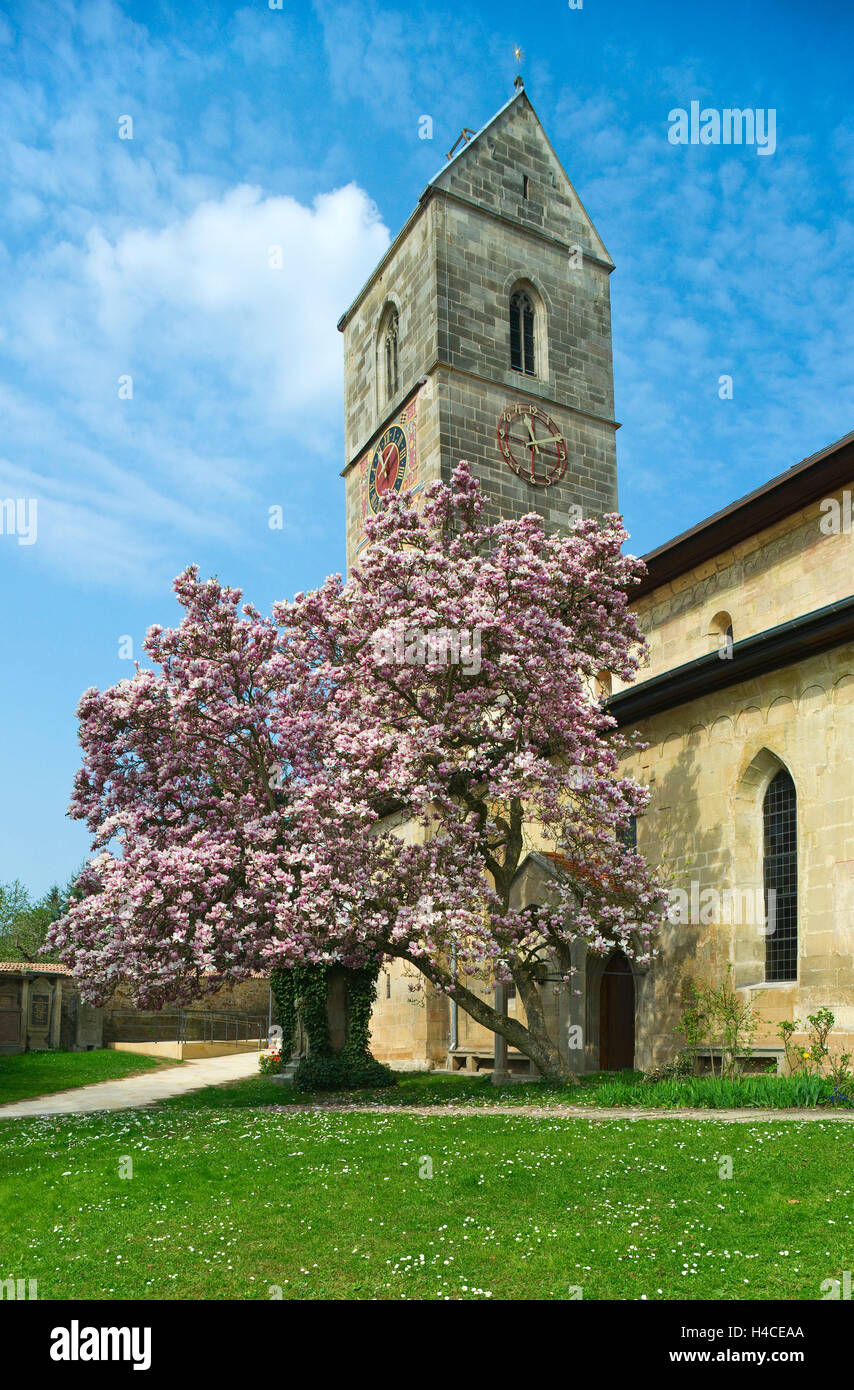 Deutschland, Baden-Wurttemberg, Neckartailfingen, Martins Kirche ...
