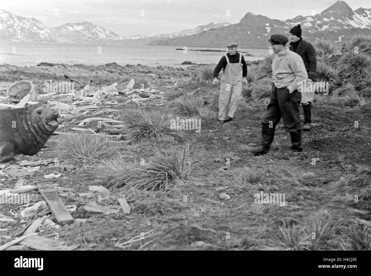 Walter Rau Walfang Ag Stockfotos und -bilder Kaufen - Alamy