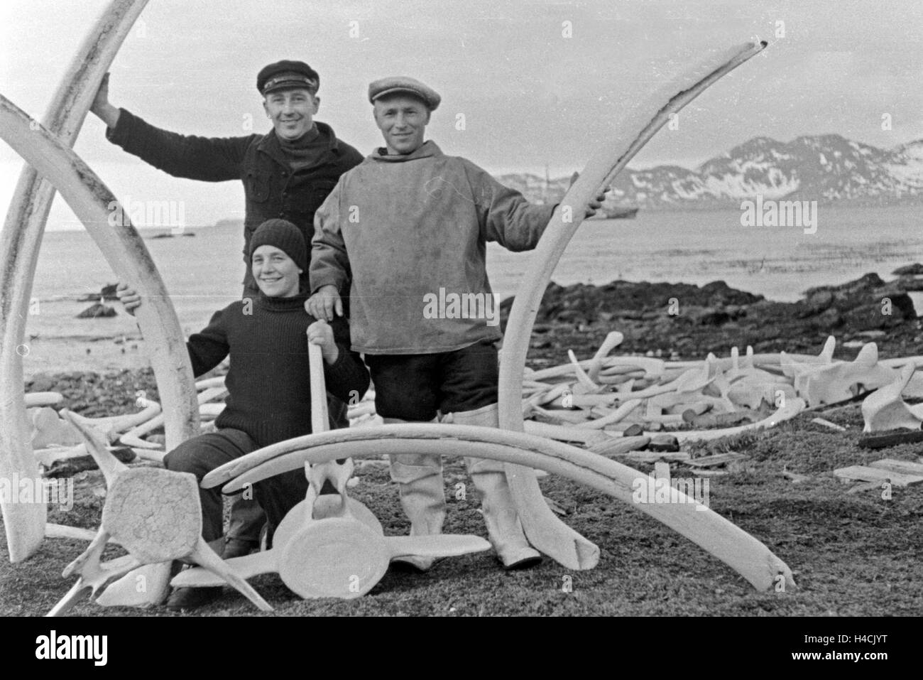 Walter rau walfang ag -Fotos und -Bildmaterial in hoher Auflösung – Alamy