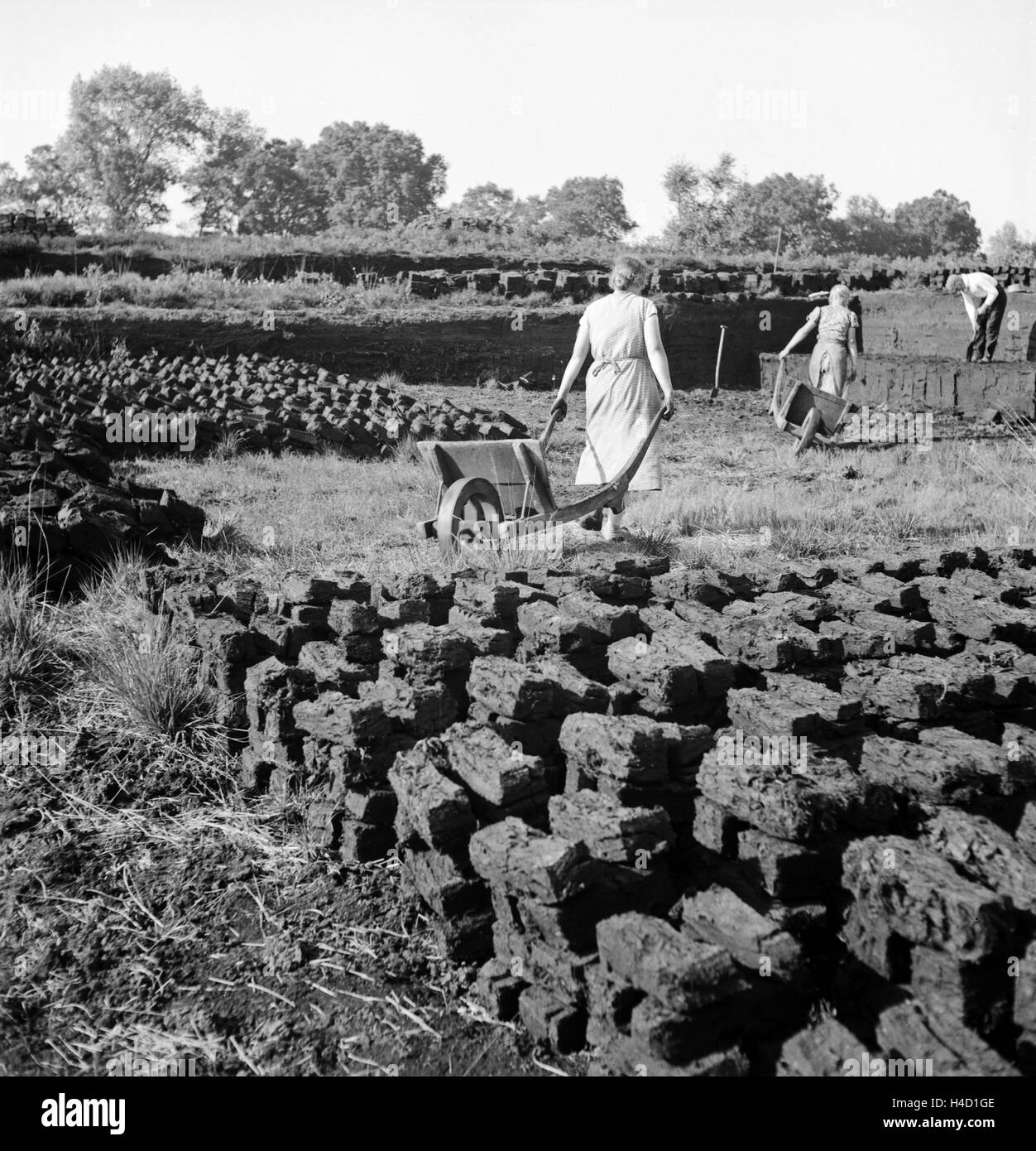 Beim Torfstich Im Teufelsmoor Nördlich von Bremen, Deutschland, 1930er ...