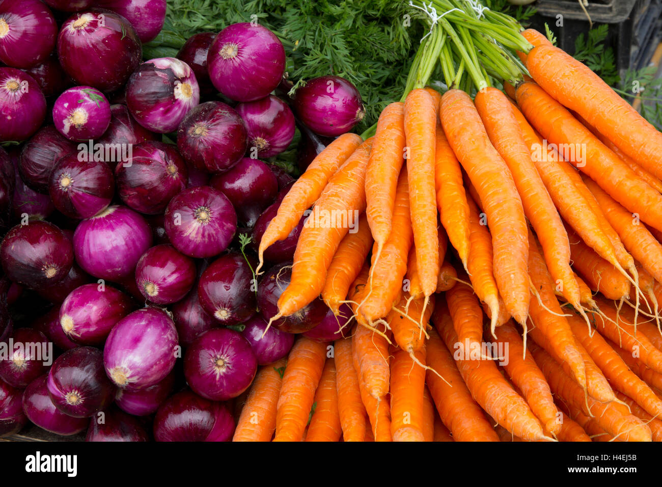 Vegetable vegetables market finland -Fotos und -Bildmaterial in hoher ...
