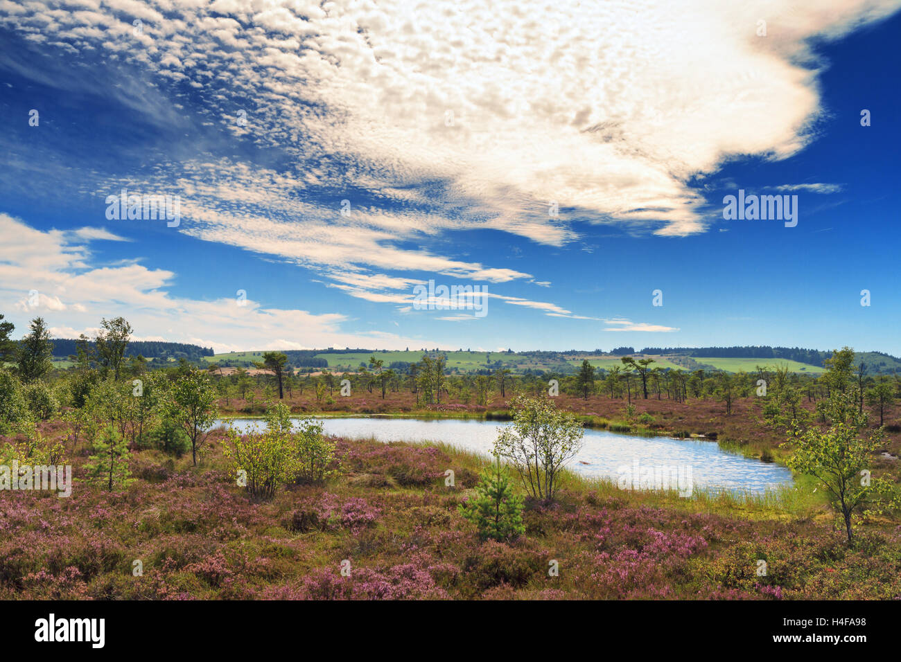 Marsh landscape -Fotos und -Bildmaterial in hoher Auflösung – Alamy