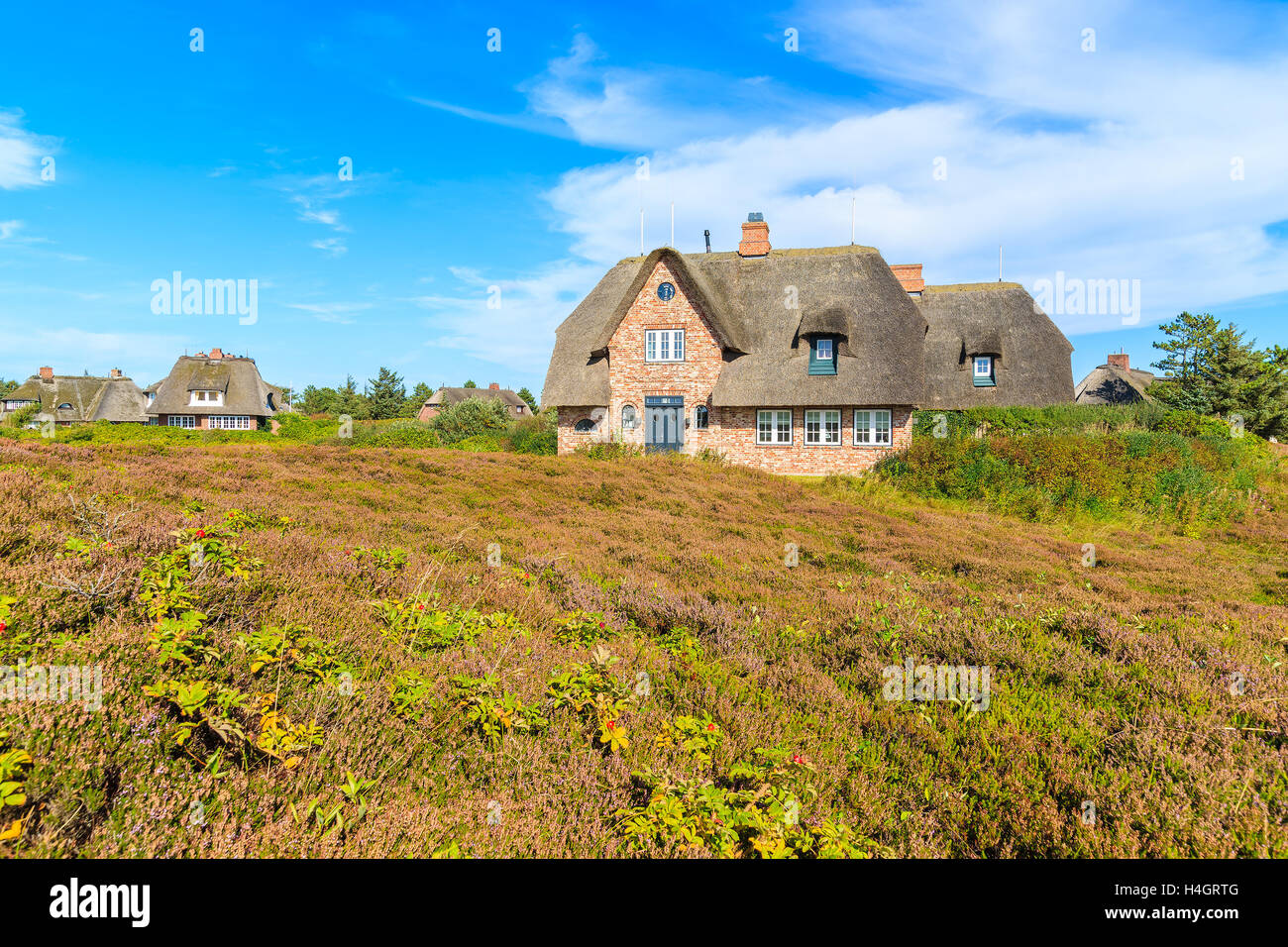 Traditionelle Häuser mit Strohdächern in Landschaft der Insel Sylt in ...