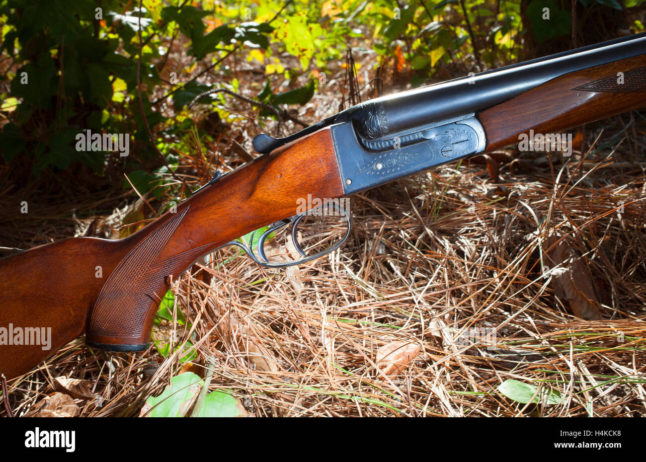 Lauf schrotflinte -Fotos und -Bildmaterial in hoher Auflösung – Alamy