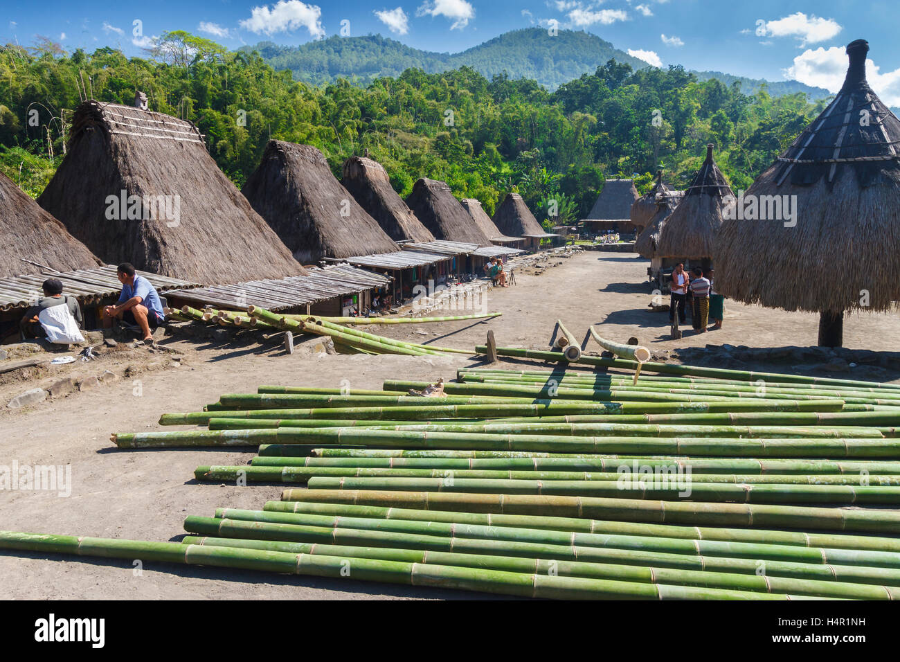 Typische vegetation der flores inseln -Fotos und -Bildmaterial in hoher ...