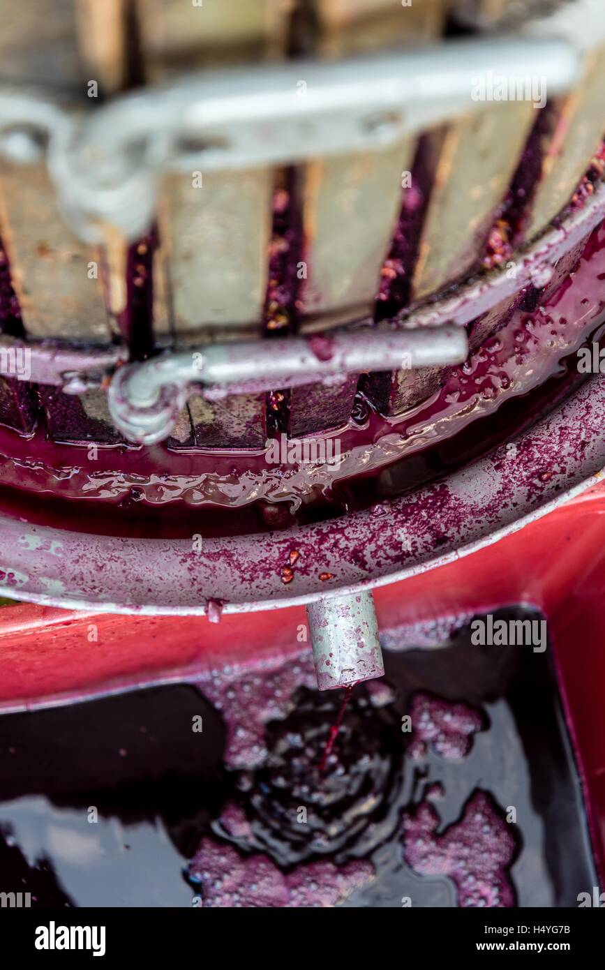 Hölzerne Weinpresse mit roten muss zum Pressen von Trauben zu Wein zu ...