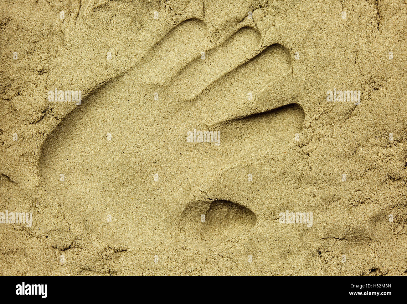 Die männliche Hand beeindruckt auf der nassen Sand, enge und flache ...