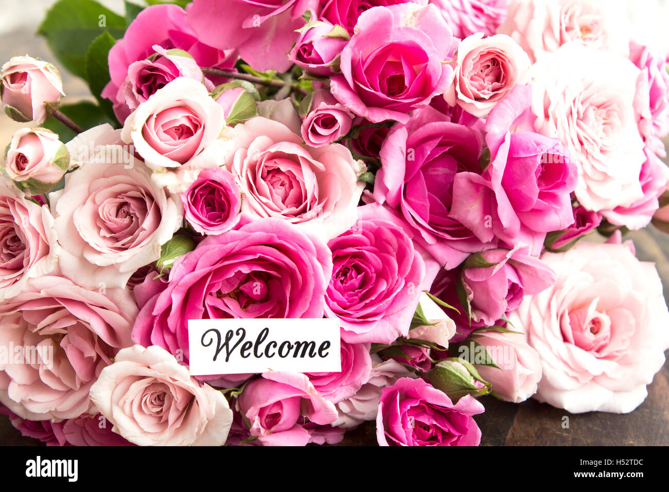 Welcome Card mit Strauß rosa Rosen Stockfotografie - Alamy