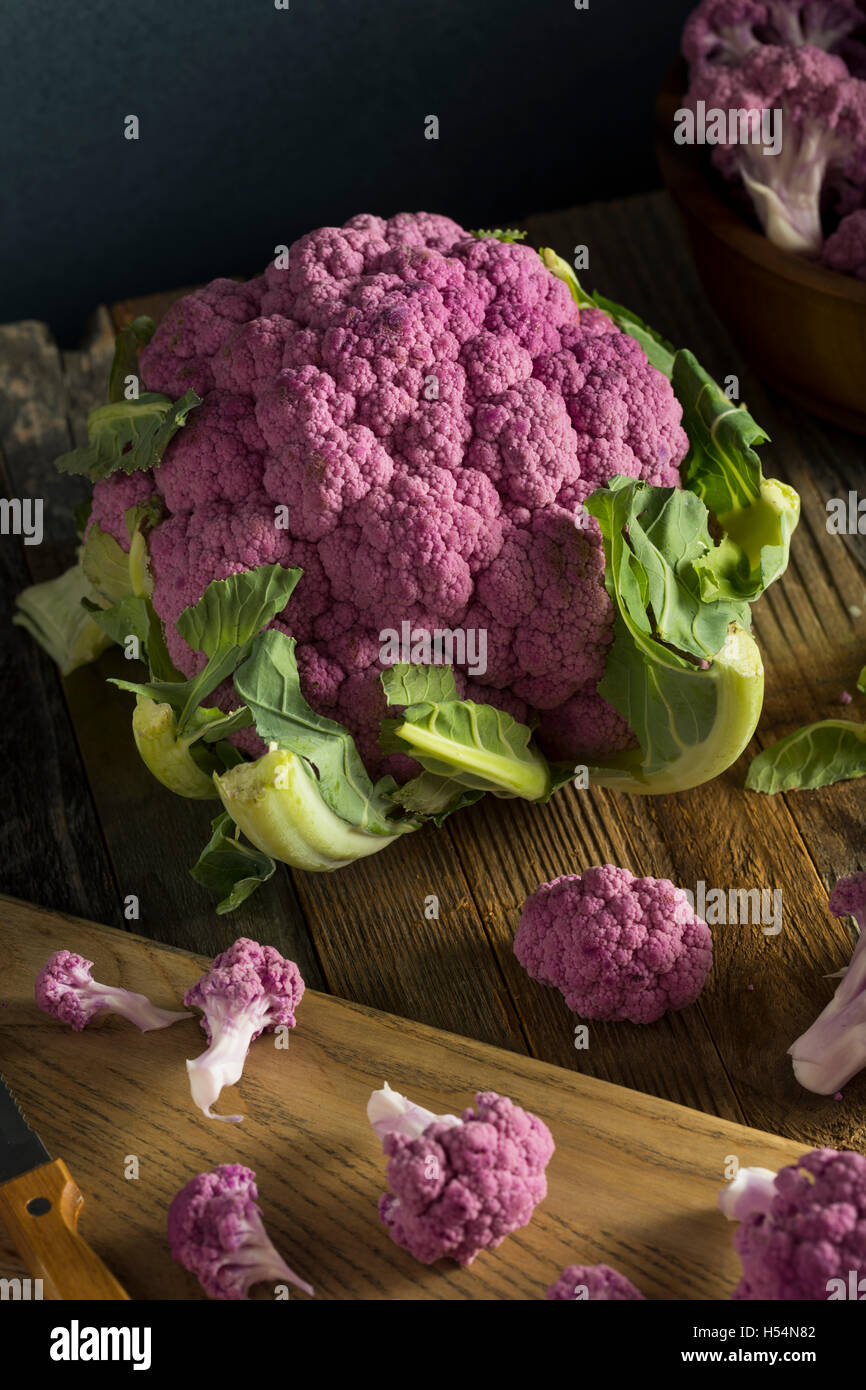 Violetter blumenkohl -Fotos und -Bildmaterial in hoher Auflösung – Alamy