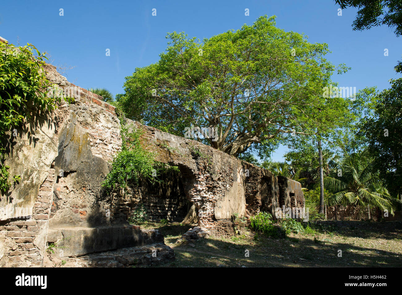 Fort Arippu gebaut von Portugiesisch, Arippu, Mannar Island, Sri Lanka ...