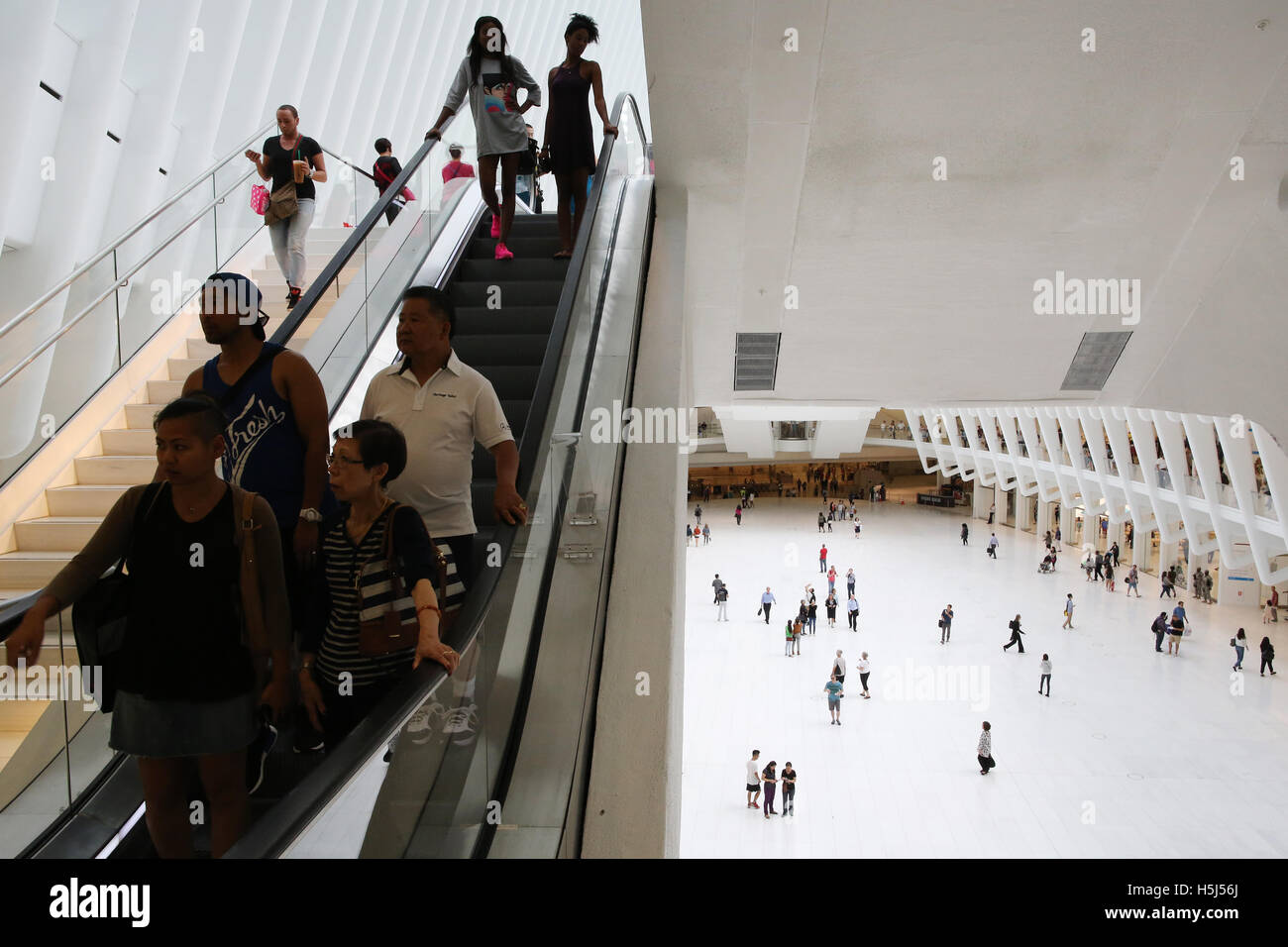 Oculus, dem Verkehrsknotenpunkt vom Architekten Santiago Calatrava, auf ...