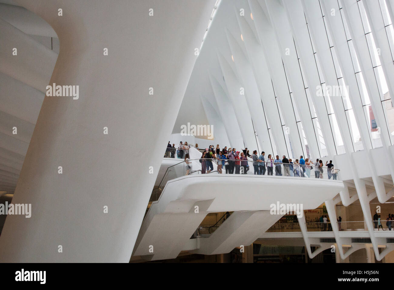 Oculus, dem Verkehrsknotenpunkt vom Architekten Santiago Calatrava, auf ...