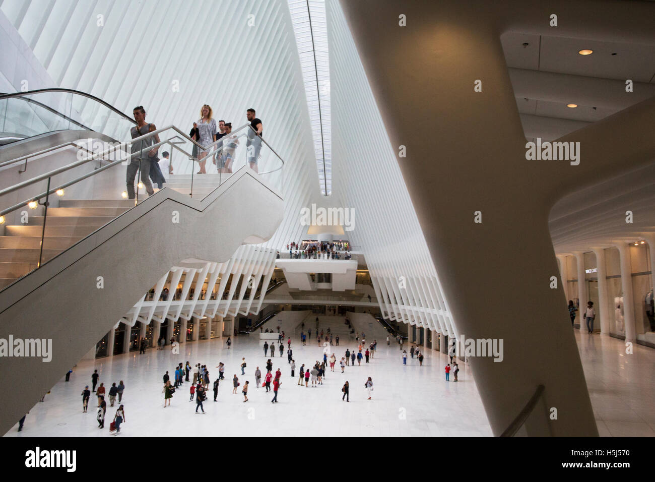 Oculus, dem Verkehrsknotenpunkt vom Architekten Santiago Calatrava, auf ...