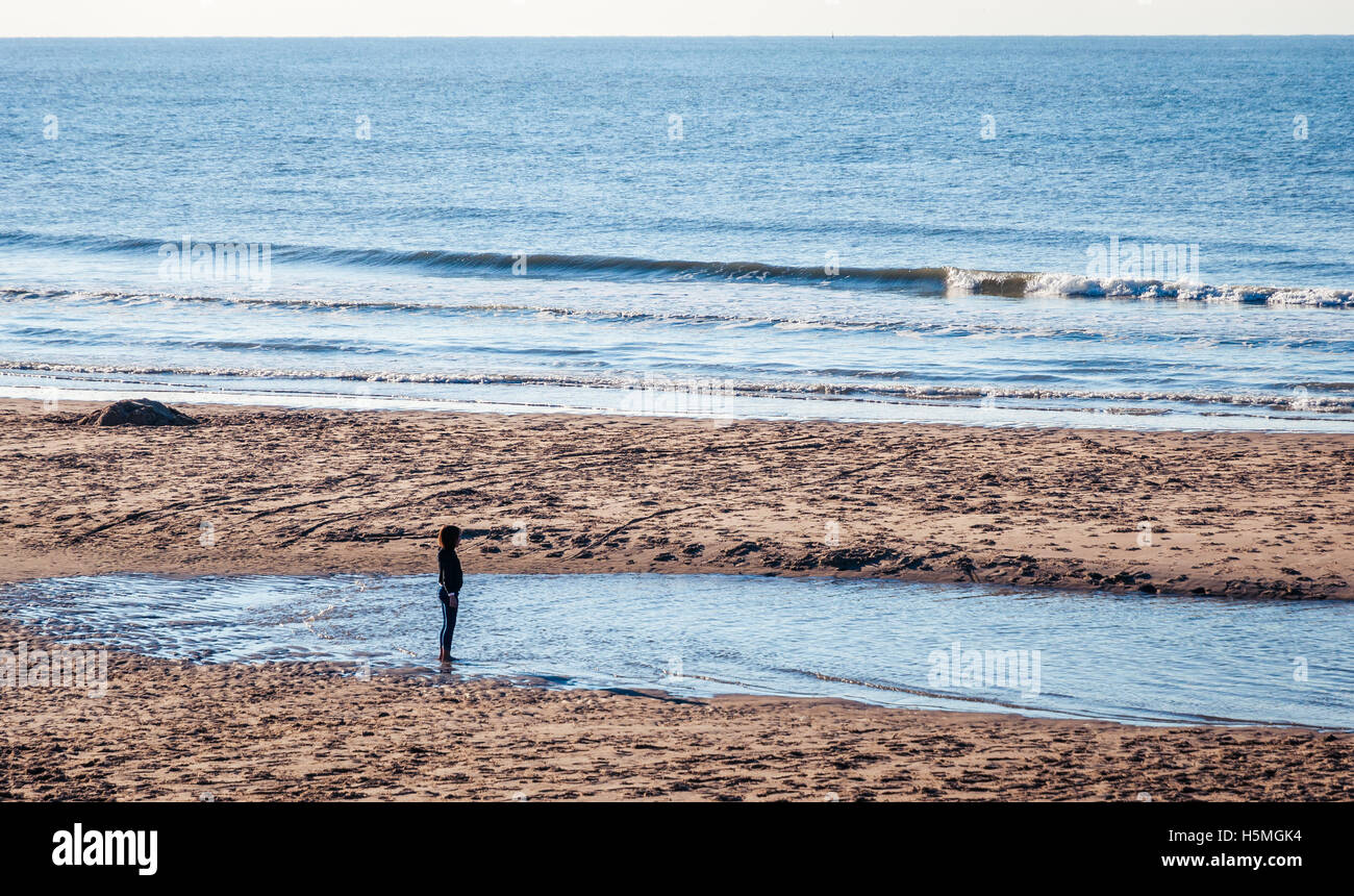 Oostende ostend -Fotos und -Bildmaterial in hoher Auflösung – Alamy