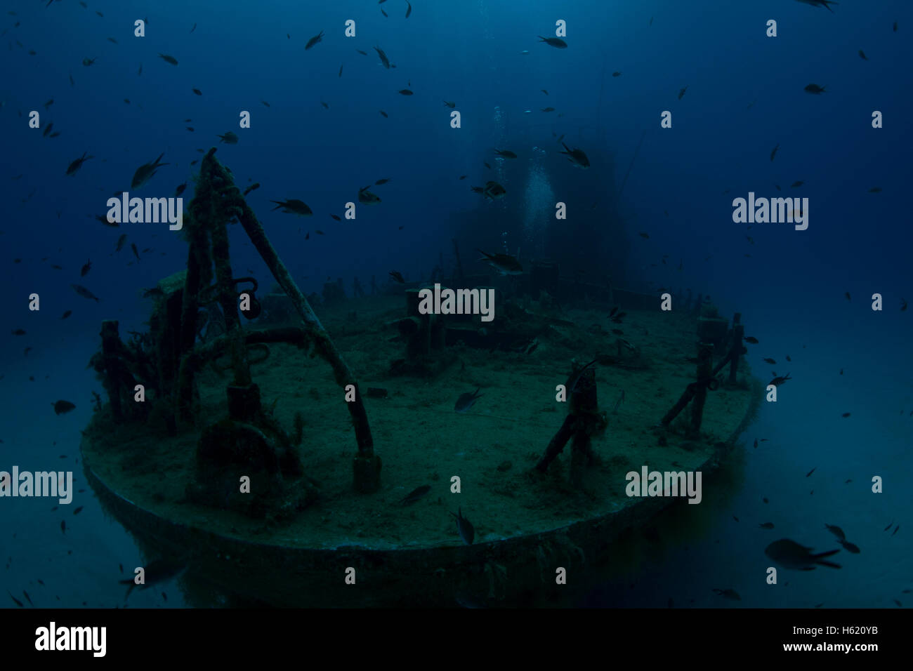 P31 Wrack in Comino, Malta, Mittelmeer. Ein altes Patrouillenboot ...