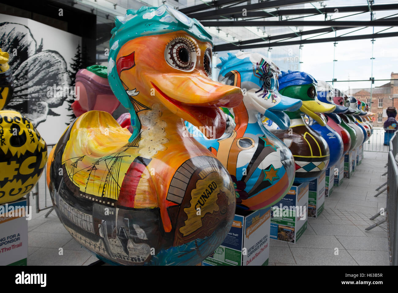Bemalte enten -Fotos und -Bildmaterial in hoher Auflösung – Alamy