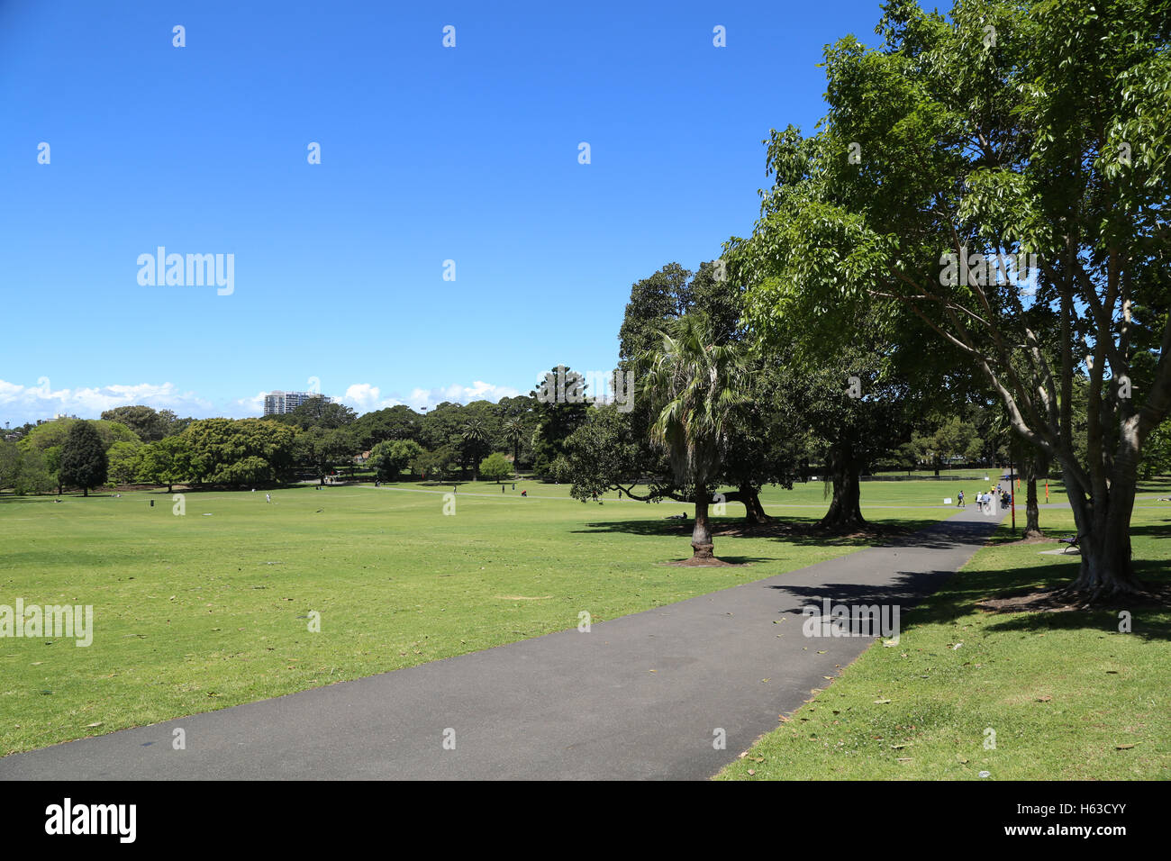 Der domain park -Fotos und -Bildmaterial in hoher Auflösung – Alamy