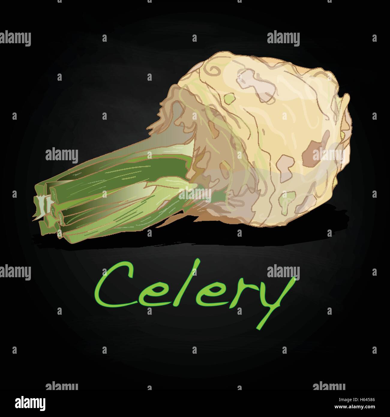 Wilder sellerie Stock-Vektorgrafiken kaufen - Alamy