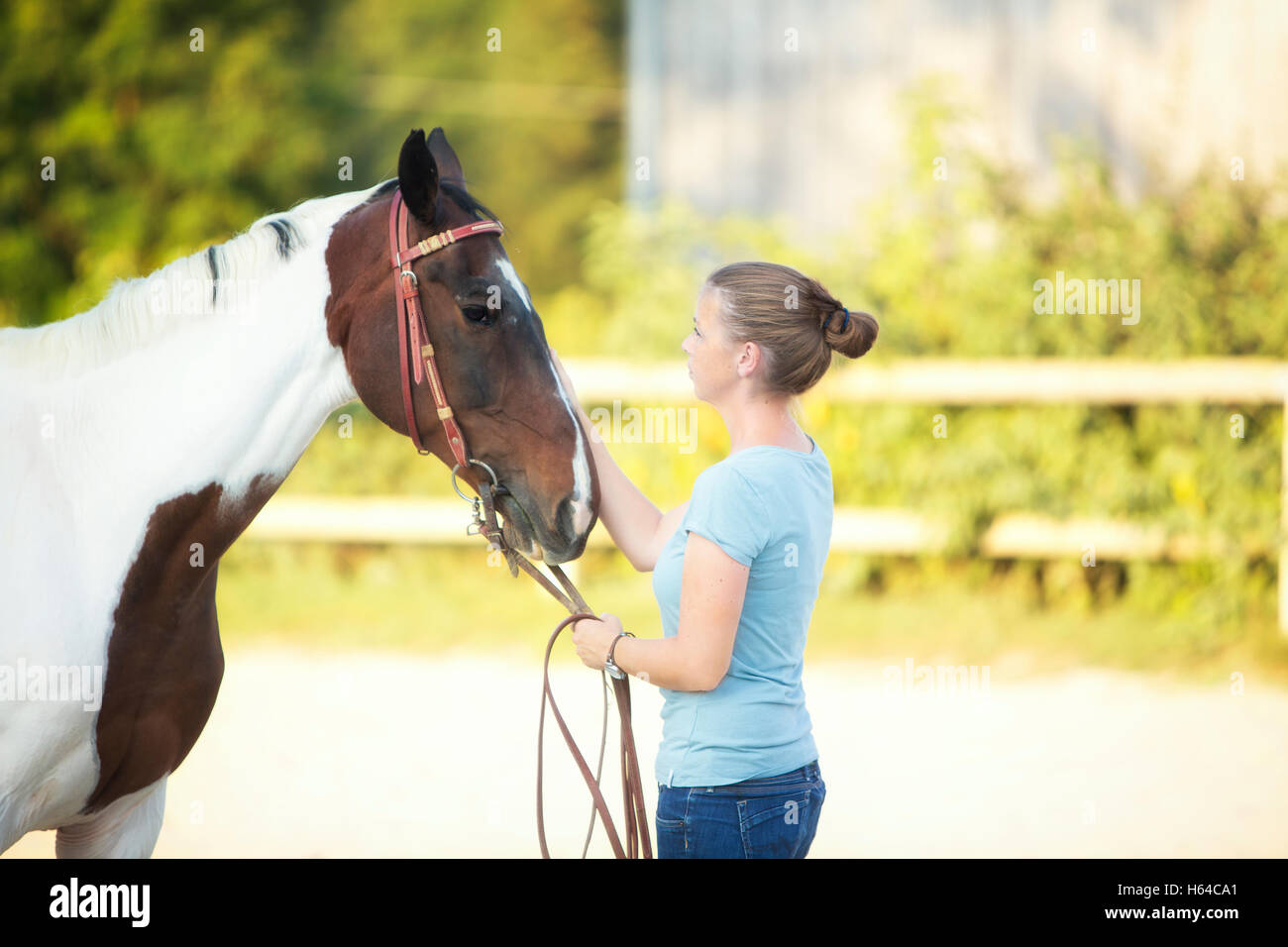Pferd mensch gegenüber -Fotos und -Bildmaterial in hoher Auflösung – Alamy