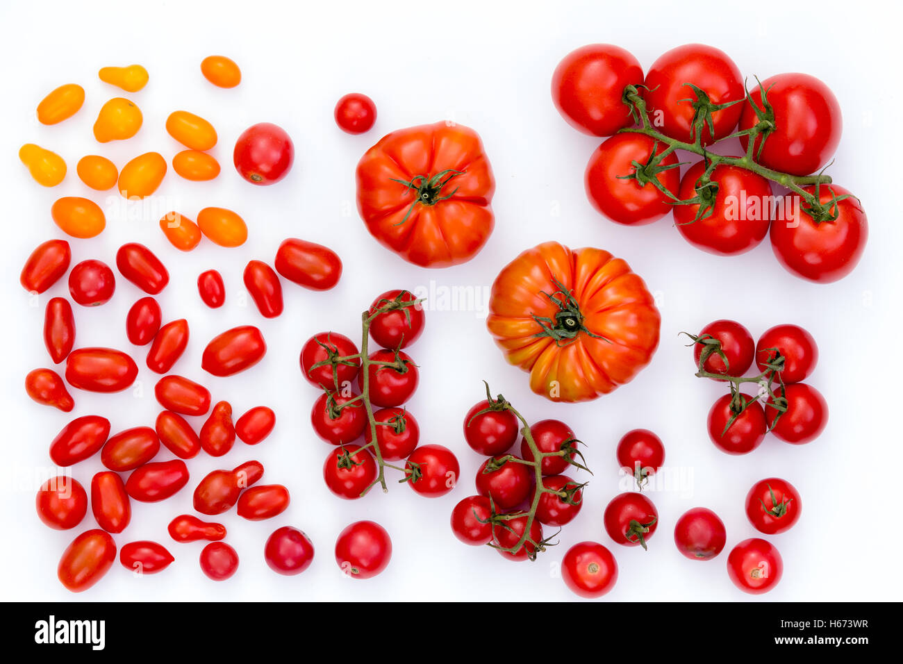 Lose tomaten -Fotos und -Bildmaterial in hoher Auflösung – Alamy