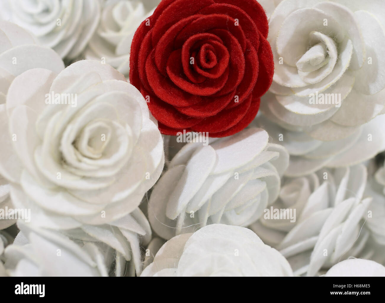 Kleine rote rosen -Fotos und -Bildmaterial in hoher Auflösung – Alamy