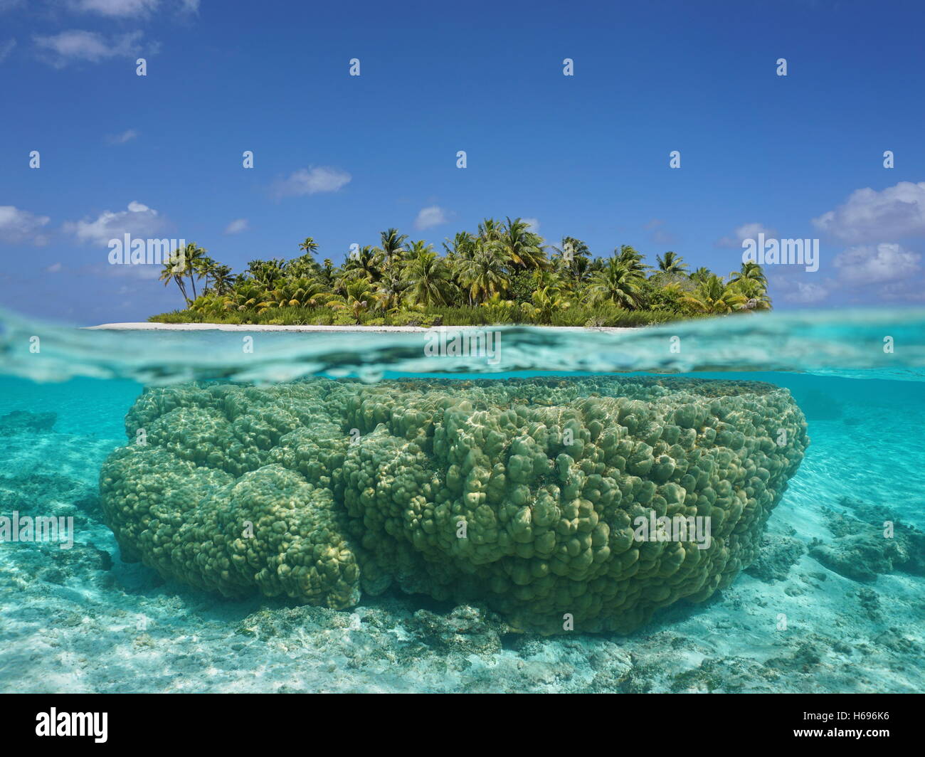 Tropische Insel oben und Unterwasser mit Korallen unter der ... Tropische Insel oben und Unterwasser mit Korallen unter der ...