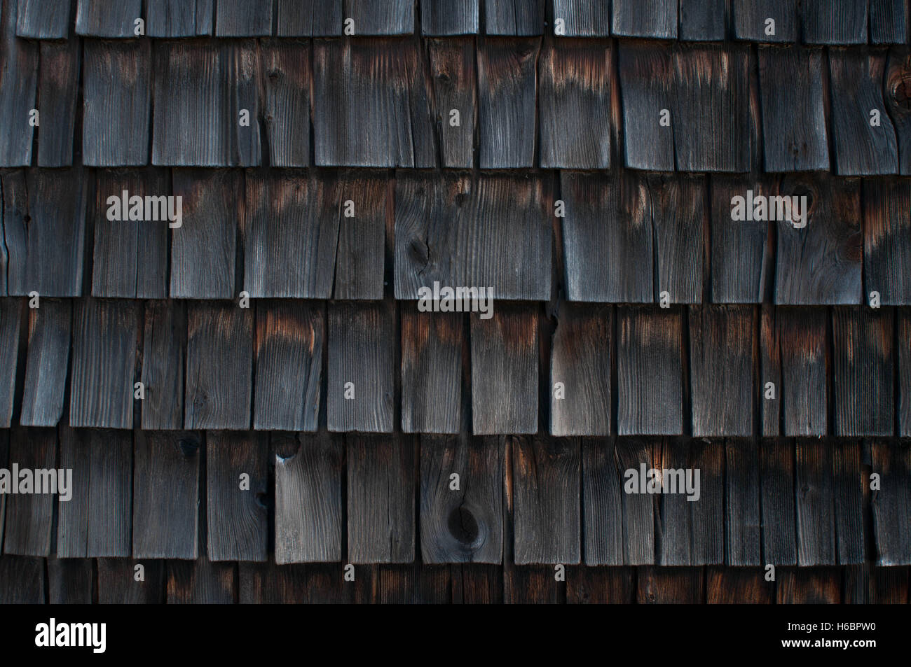 Old weathered wood shingles texture -Fotos und -Bildmaterial in hoher ...