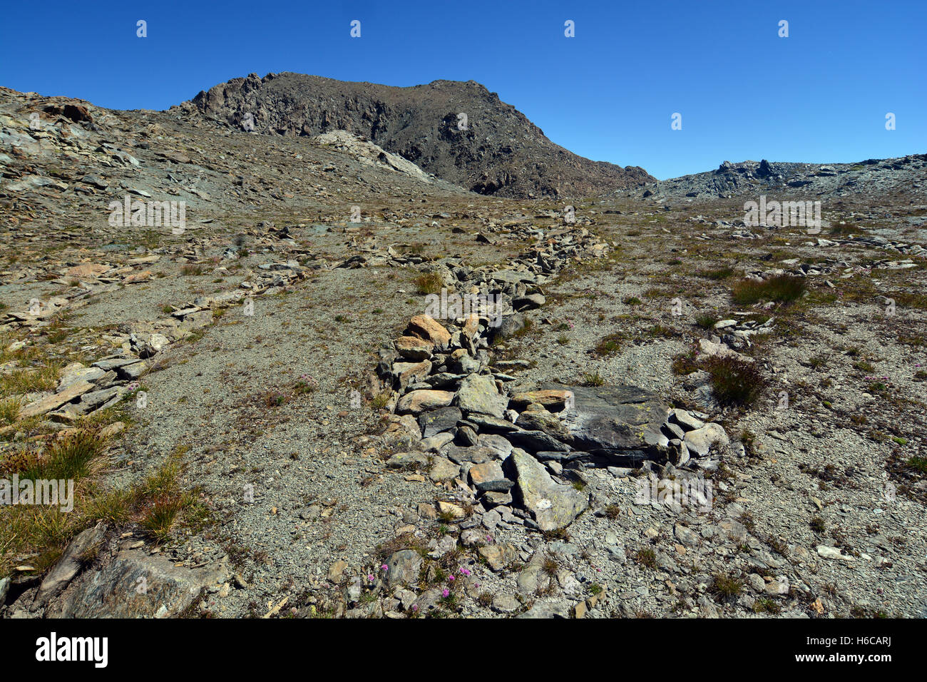 Frost polygone -Fotos und -Bildmaterial in hoher Auflösung – Alamy