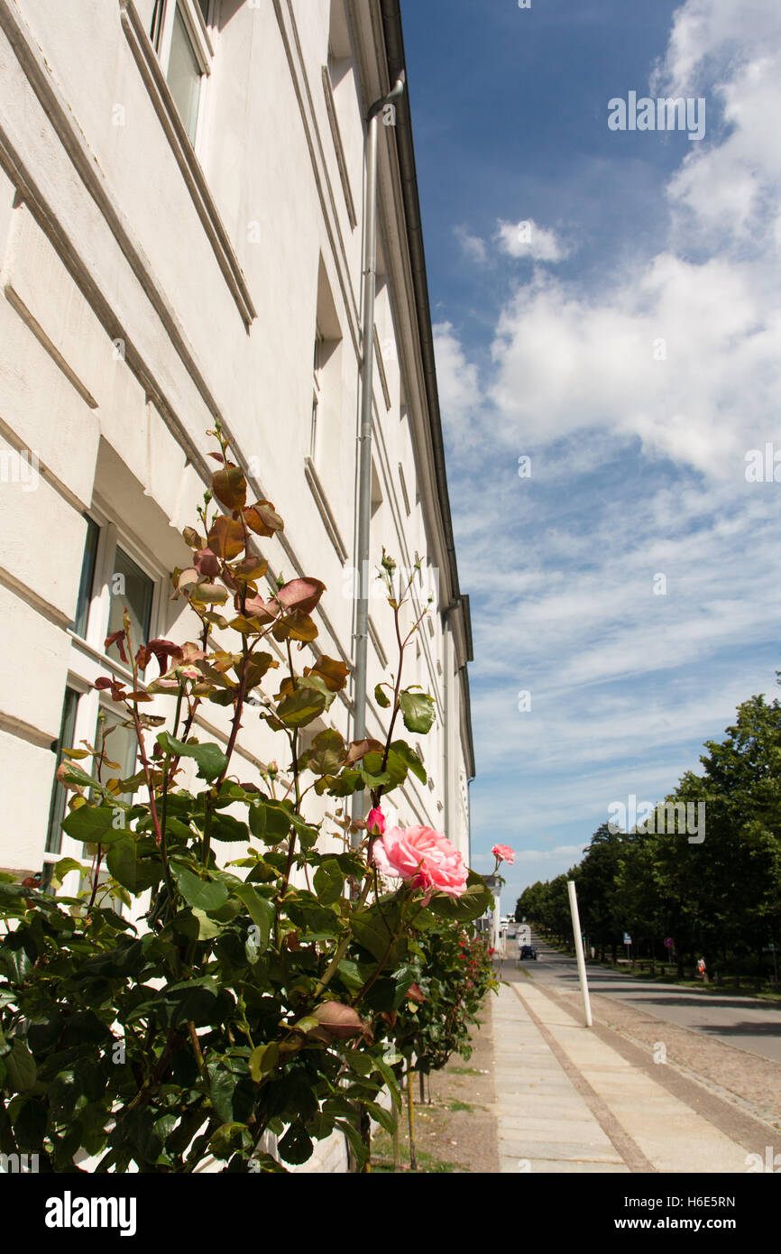 Alte historische fassade -Fotos und -Bildmaterial in hoher Auflösung ...