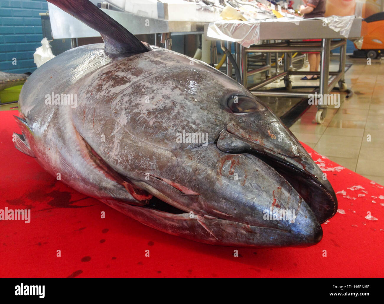 Thunfisch rot -Fotos und -Bildmaterial in hoher Auflösung – Alamy