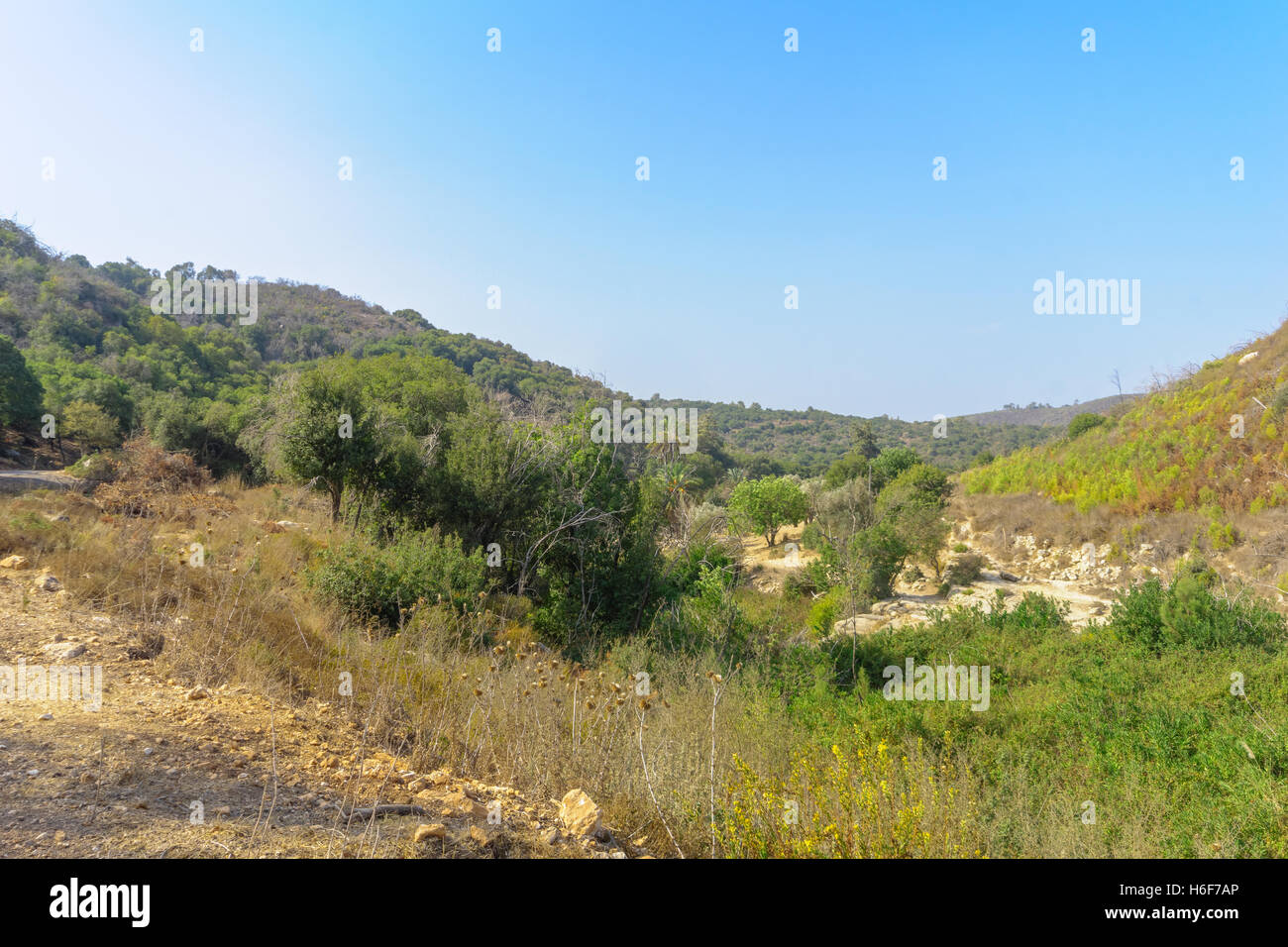 Carmel israel -Fotos und -Bildmaterial in hoher Auflösung – Alamy