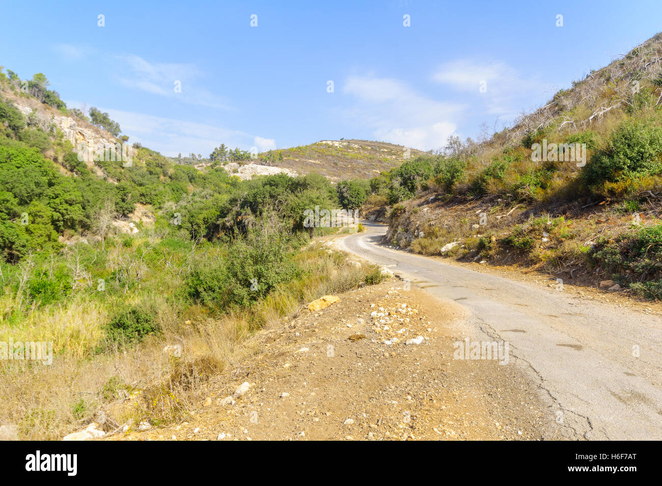 Carmel israel -Fotos und -Bildmaterial in hoher Auflösung – Alamy