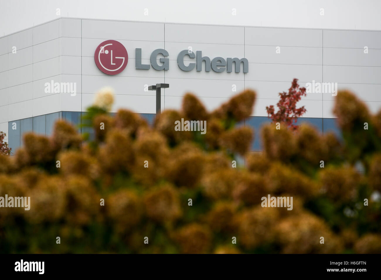 Lg chem -Fotos und -Bildmaterial in hoher Auflösung – Alamy