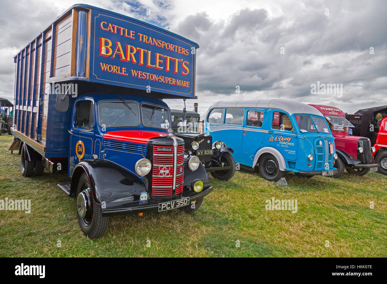 Eine bunte Anzeige von Vintage Bedford und Austin Vans und Trainer an ...